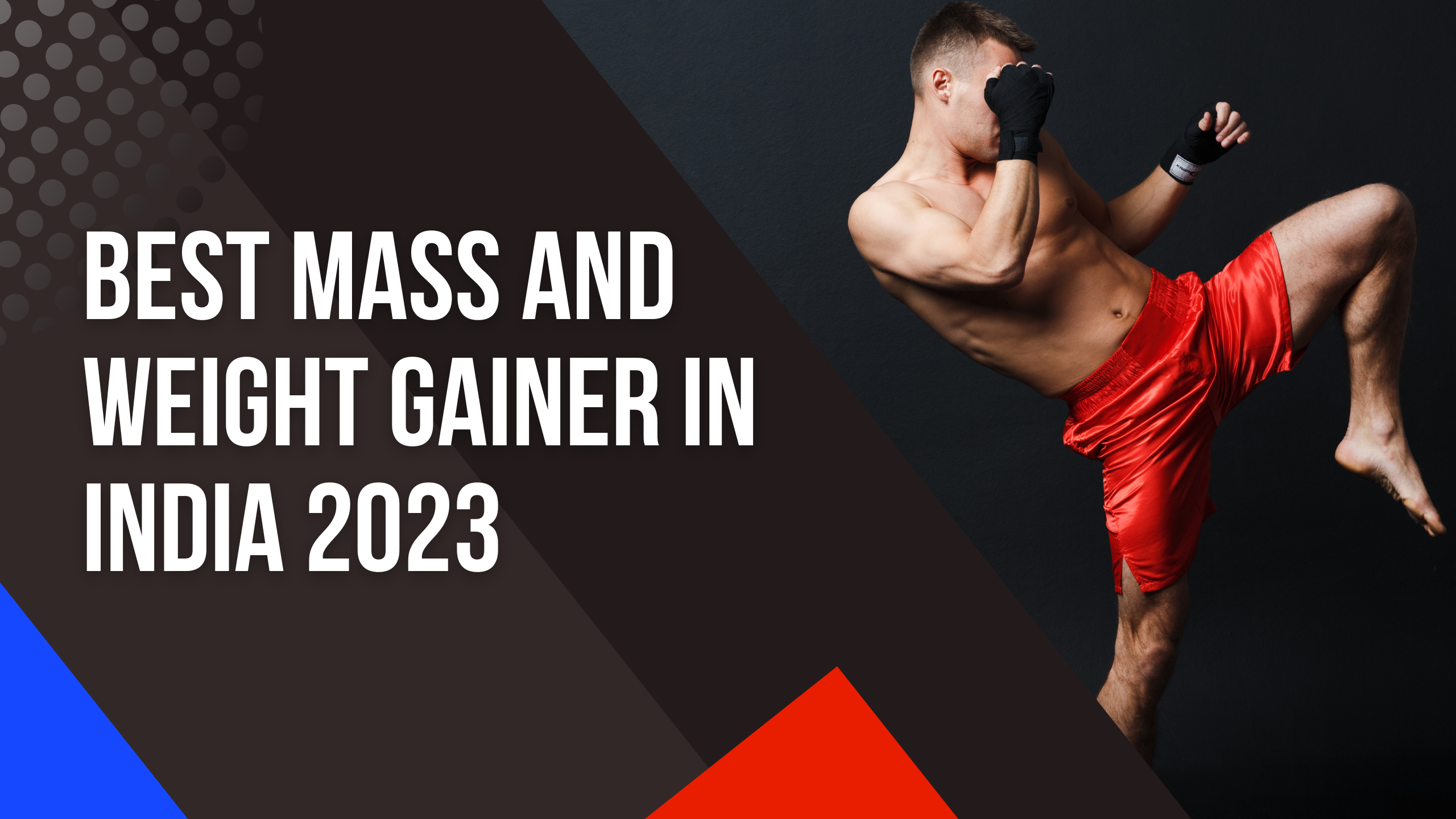 Best Mass and Weight Gainer in India 2024 – IN2 Nutrition